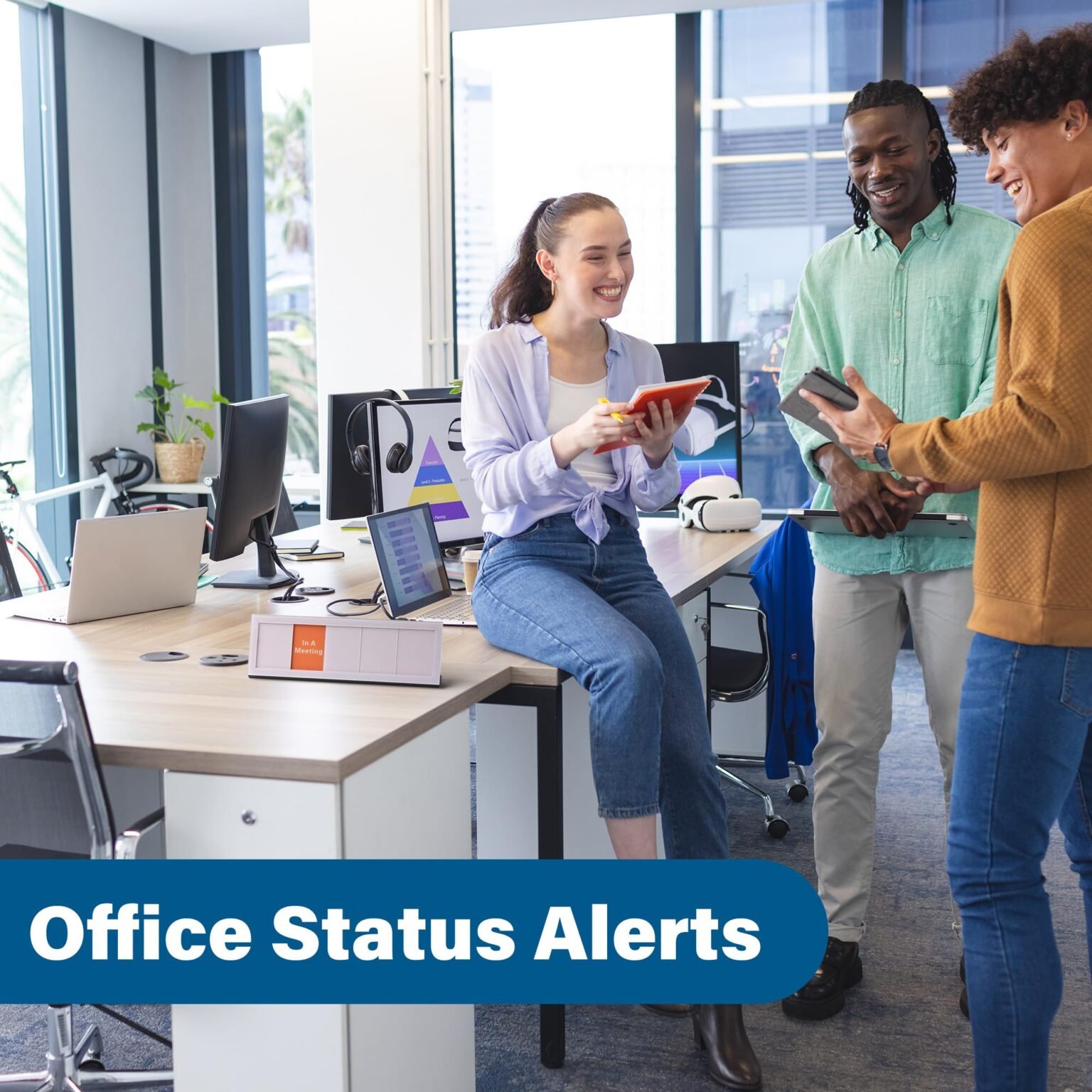 Do Not Disturb Desk Sign with 5 Options – Privacy Sign, Please Knock ...